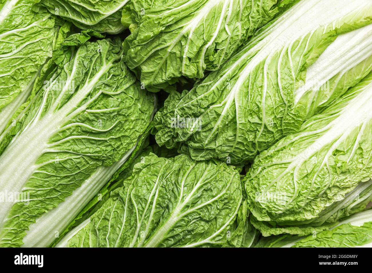 Fresh chinese cabbage as background, closeup Stock Photo - Alamy