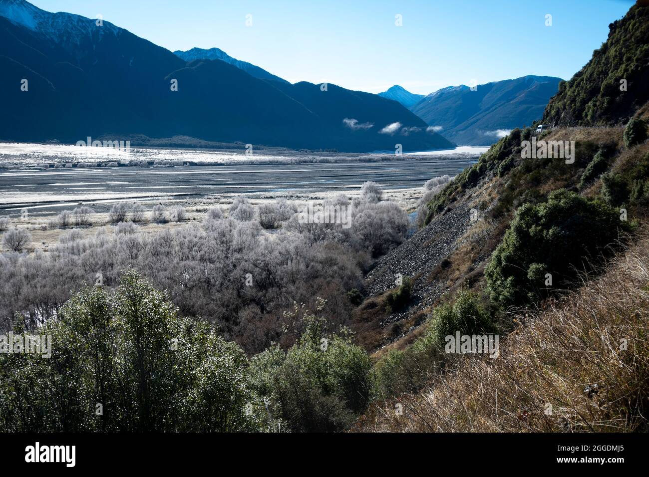 Icey tree hi-res stock photography and images - Alamy