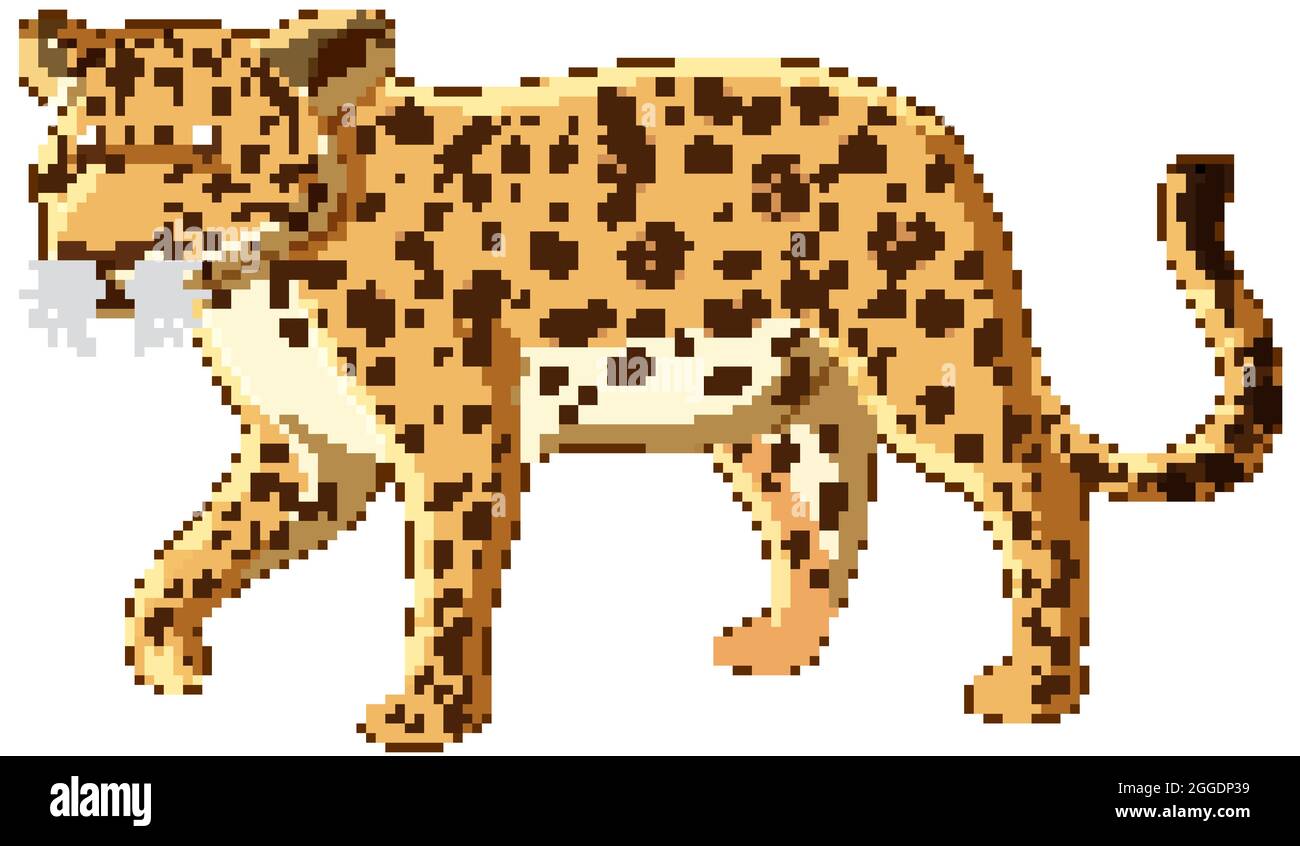 Leopard cartoon style isolated on white background illustration Stock ...