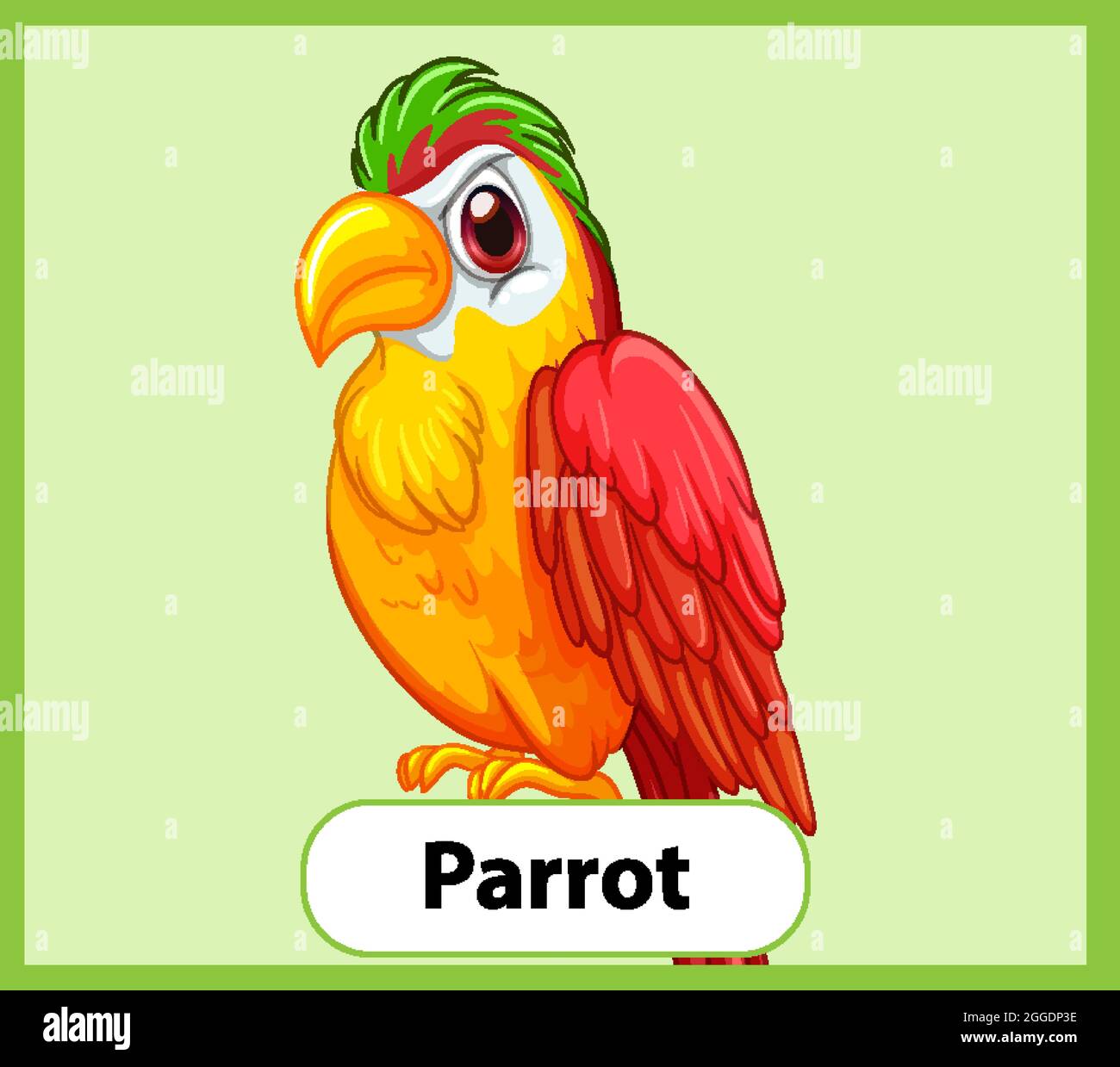Educational English word card of Parrot illustration Stock Vector Image ...