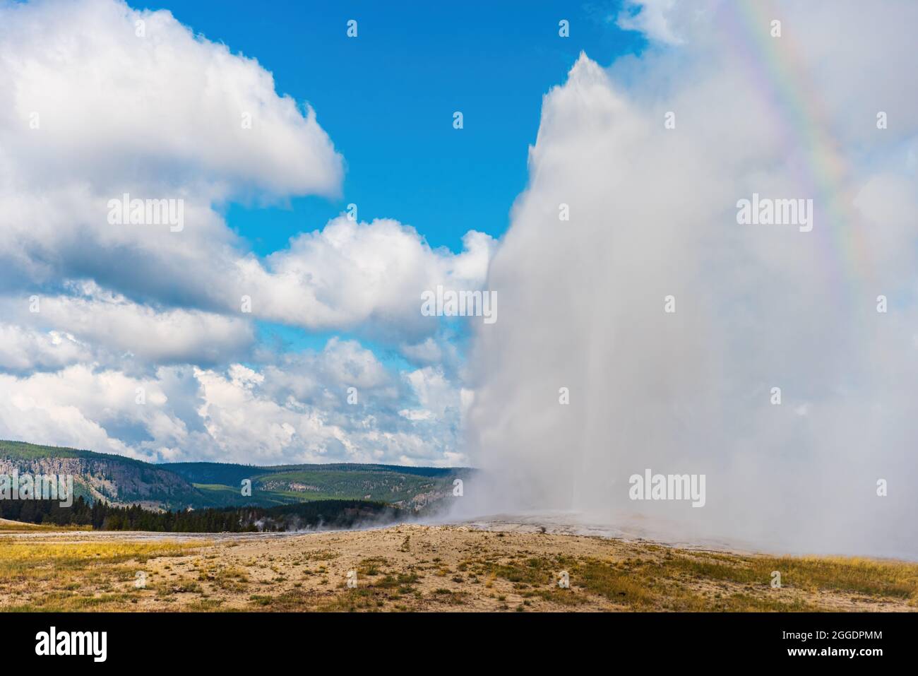 Yellowstone park geyser hi-res stock photography and images - Alamy