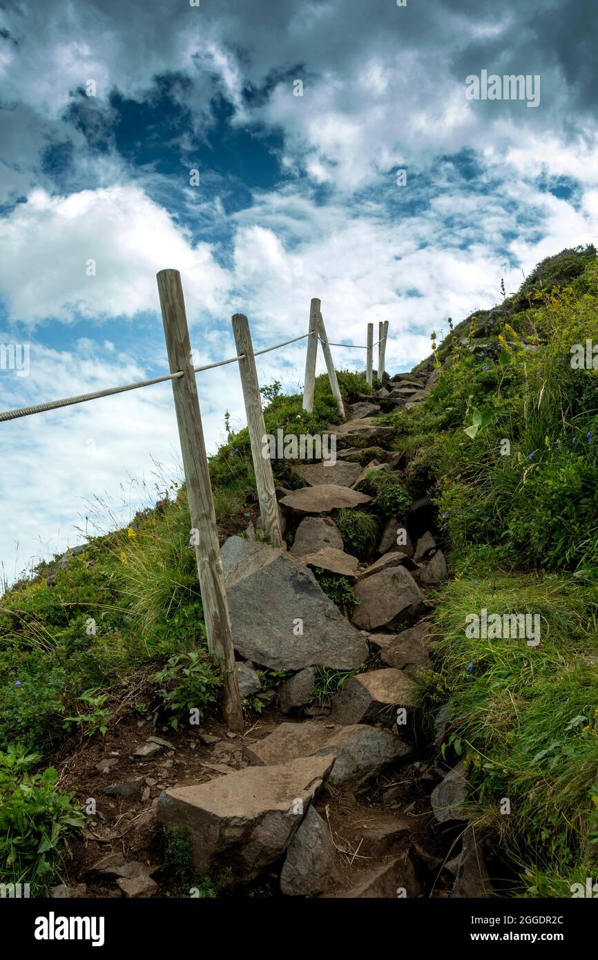 Scenic uphill pathway surrounded by lush greenery under a cloudy sky in ...