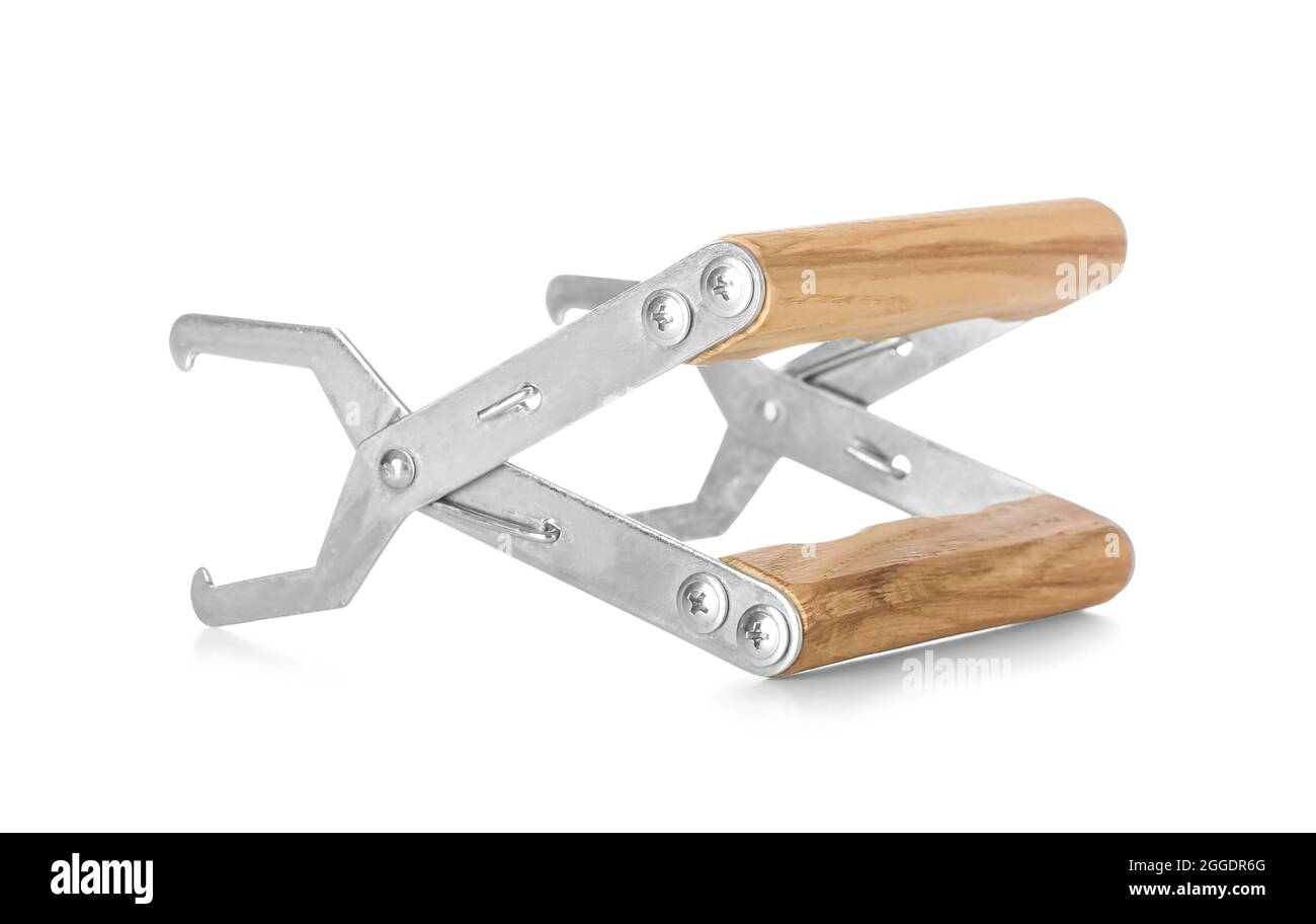 Bee frame grip on white background Stock Photo - Alamy