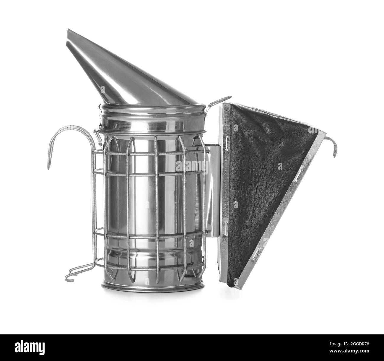 Honeybee on isolated white Black and White Stock Photos & Images - Alamy