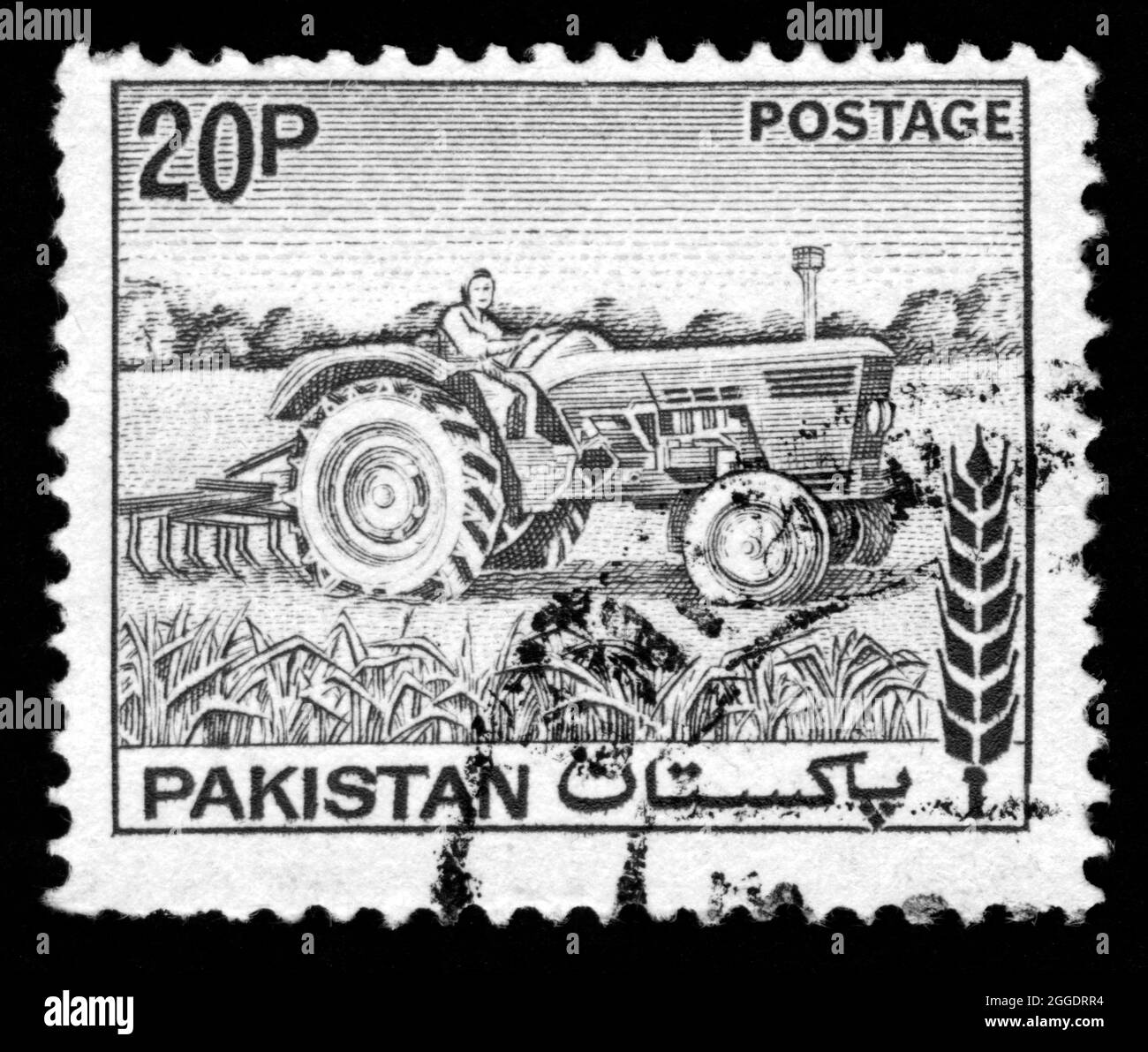 Pakistan agriculture hi-res stock photography and images - Alamy