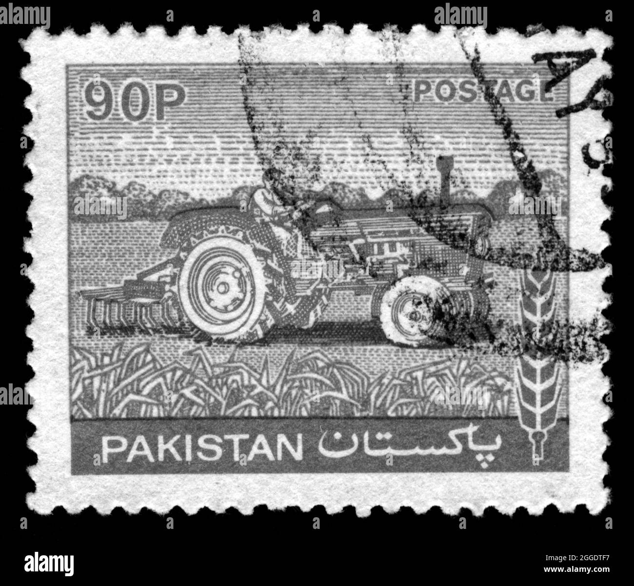 Pakistan agriculture hi-res stock photography and images - Alamy