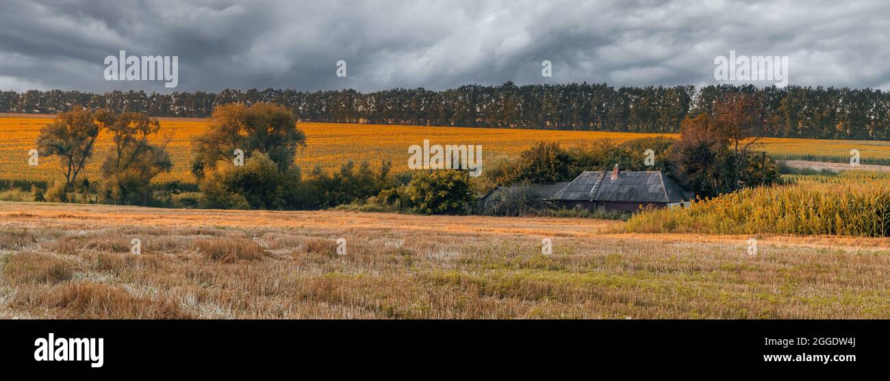 Old farmhouse in the countryside. Beveled field and old house on the ...