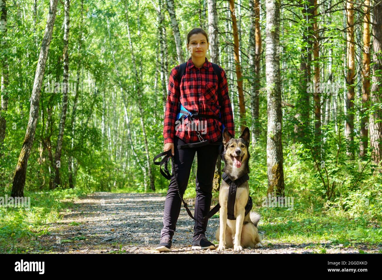 A girl with her dog is walking, in a country park, in the forest. Copy ...