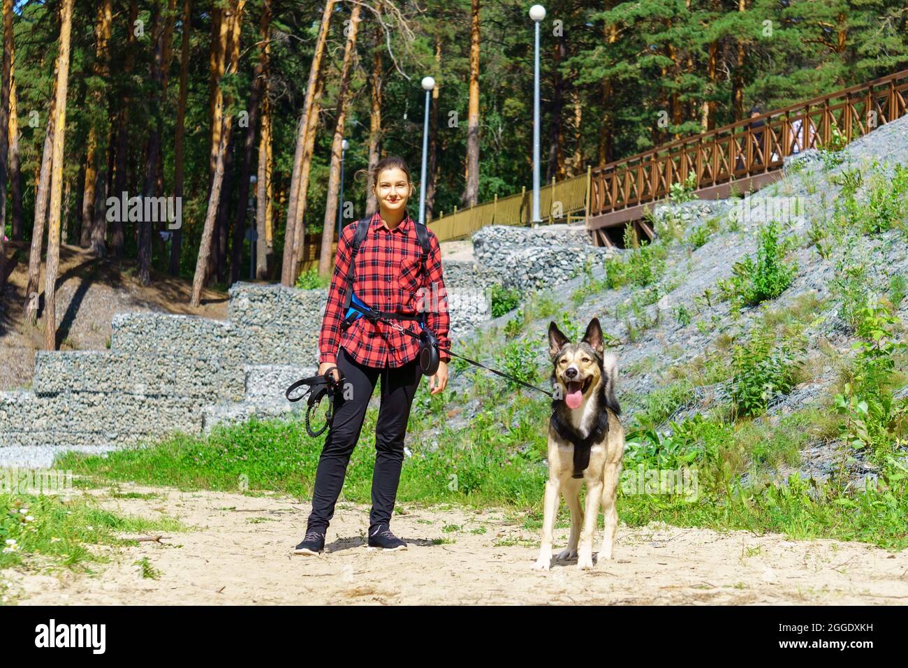 Friendship between human and dog. Walk in nature. A girl on a walk with ...