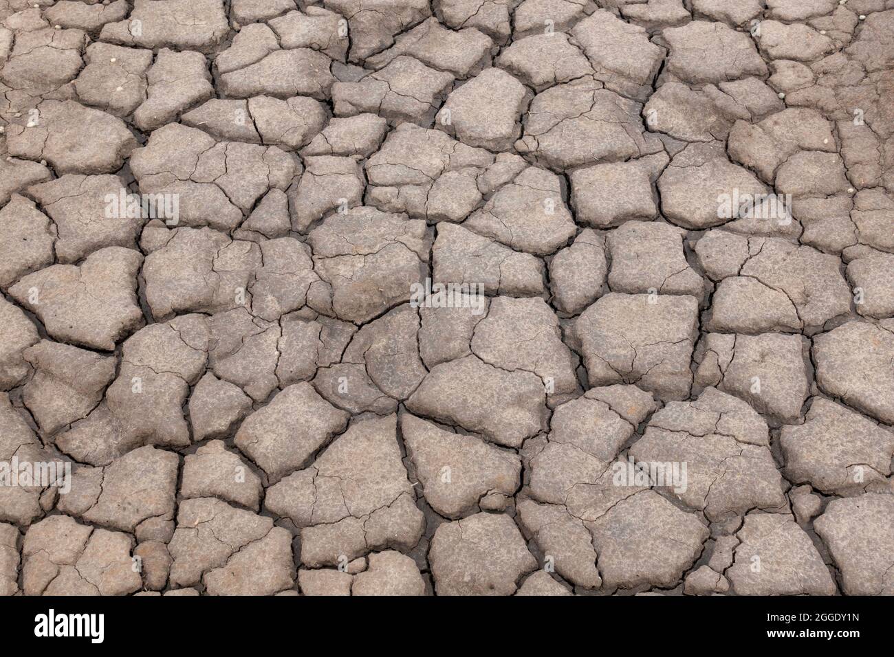 Parched earth due to climate change Stock Photo - Alamy