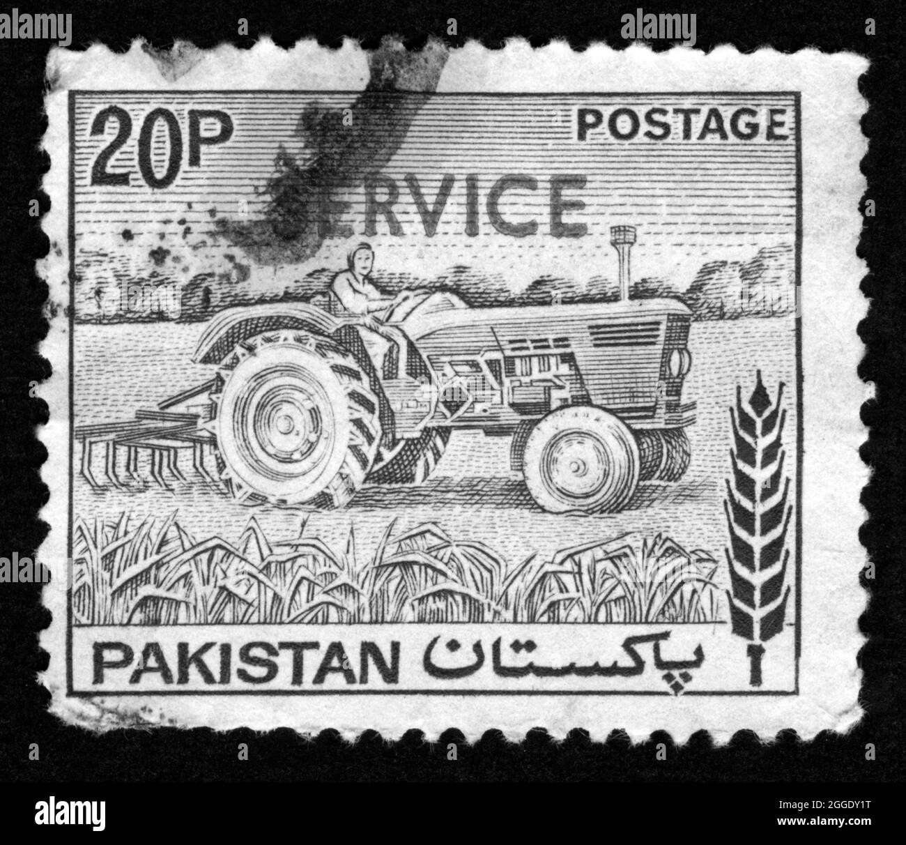 Pakistan agriculture hi-res stock photography and images - Alamy