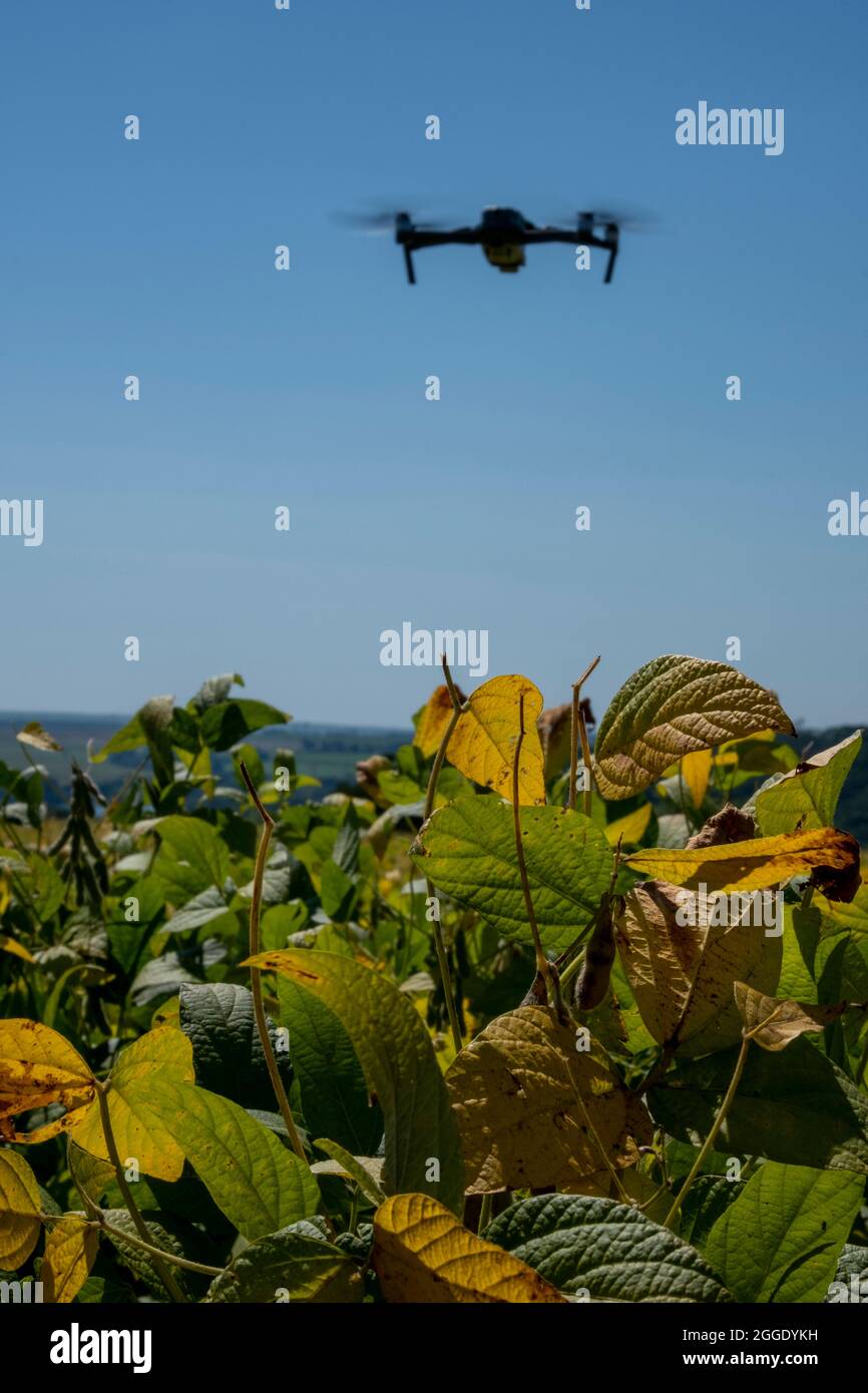 Over farming brazil hi-res stock photography and images - Alamy