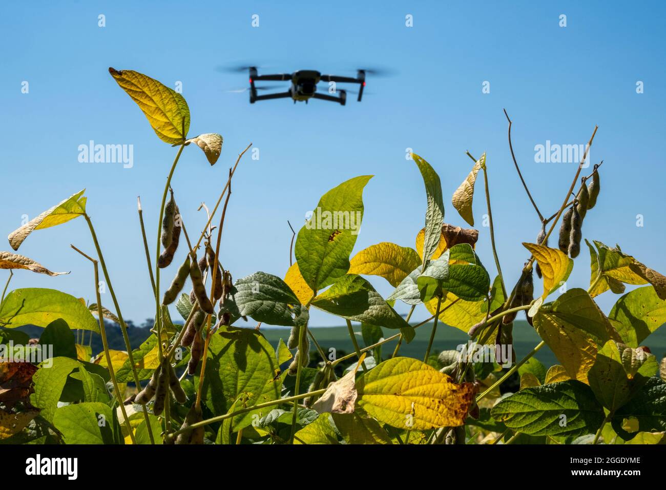 Agriculture drone brazil hi-res stock photography and images - Alamy