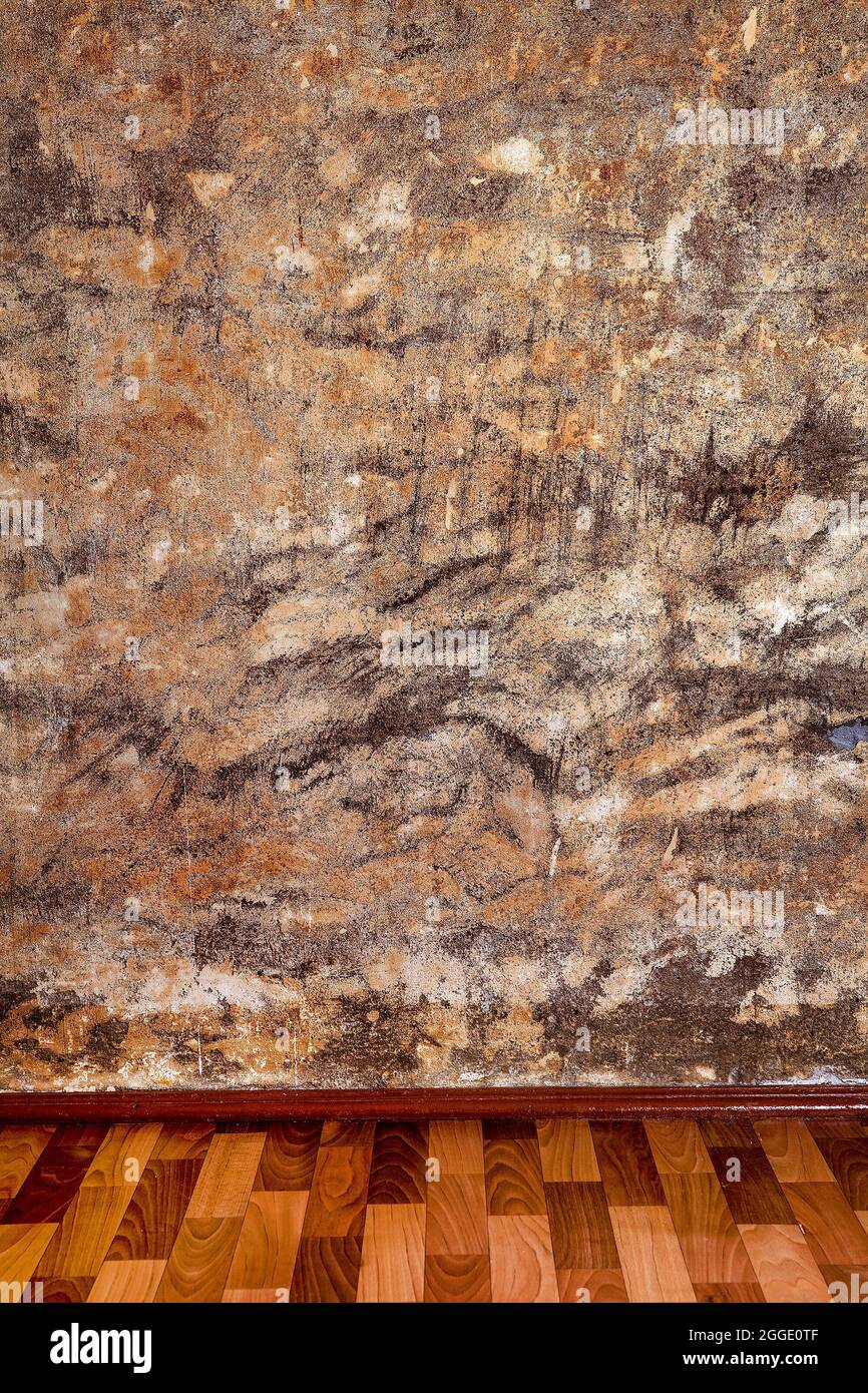 Old Weathered Wall with a Floor Stock Photo - Alamy