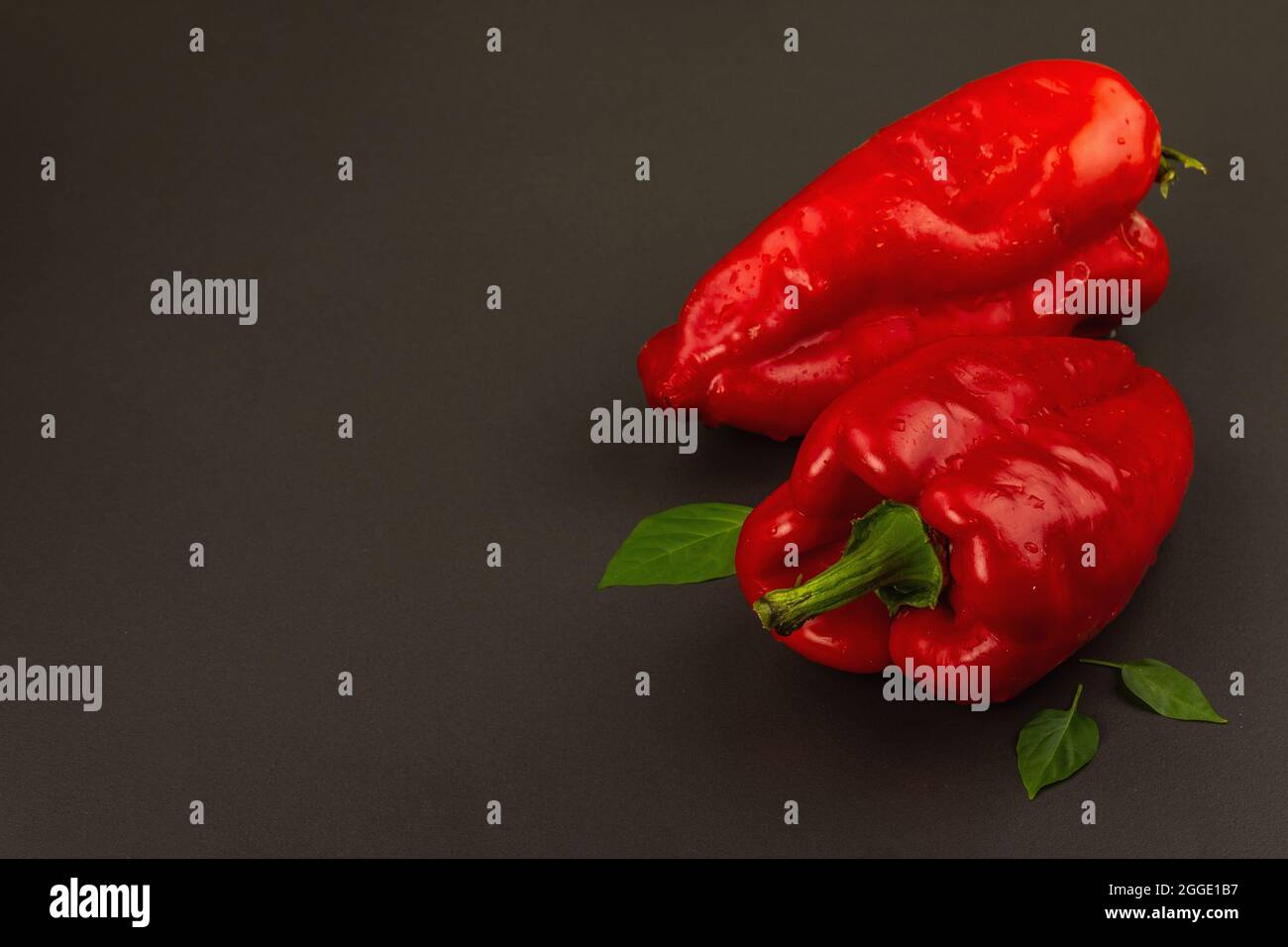 Giant red bell pepper isolated on black stone background. Sweet ...