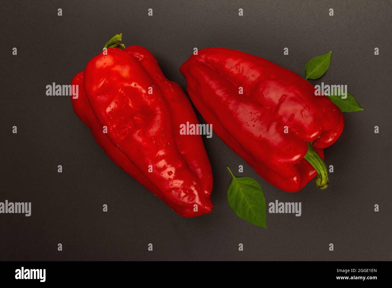 Giant red bell pepper isolated on black stone background. Sweet ...