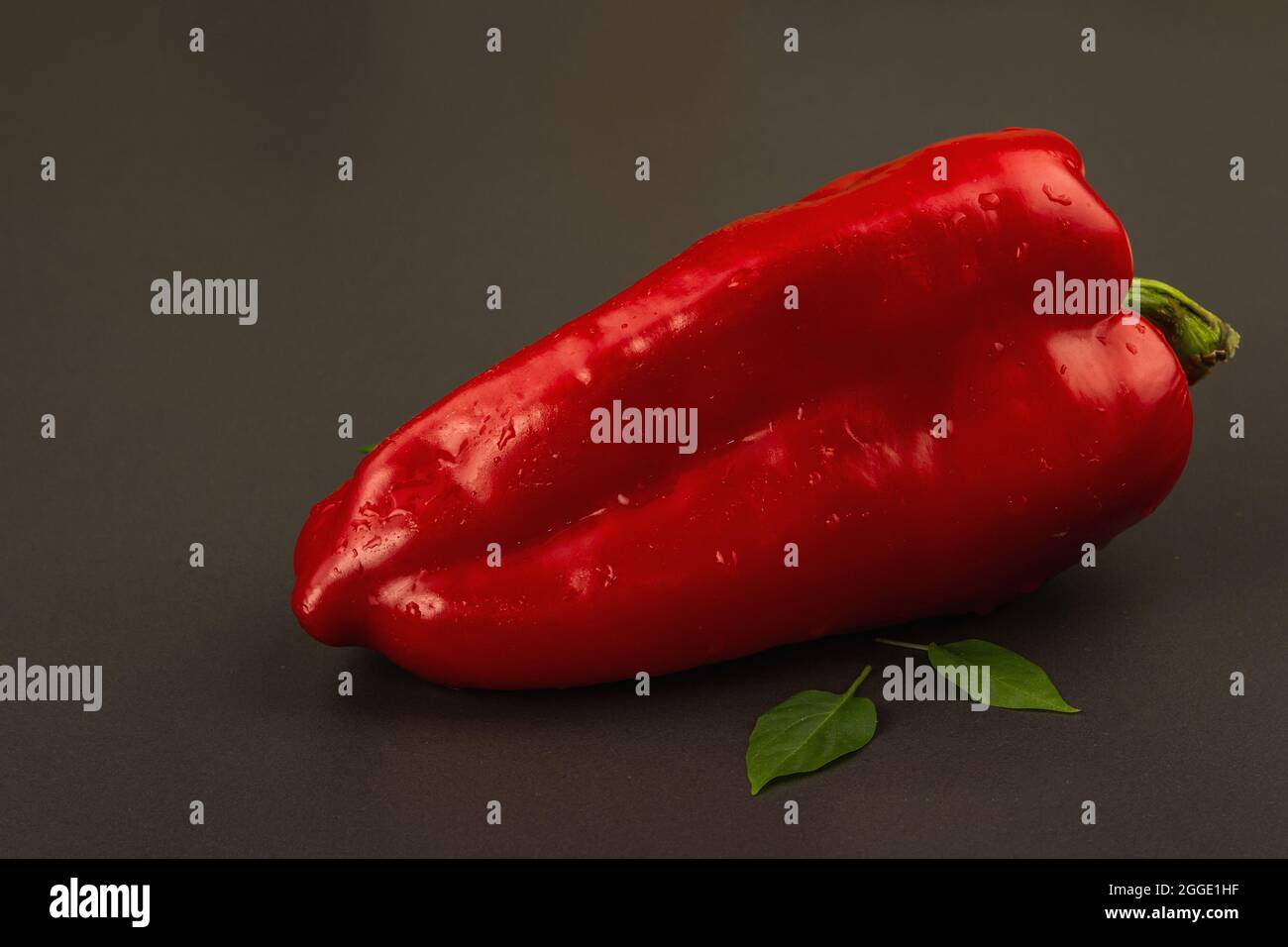 Giant red bell pepper isolated on black stone background. Sweet ...