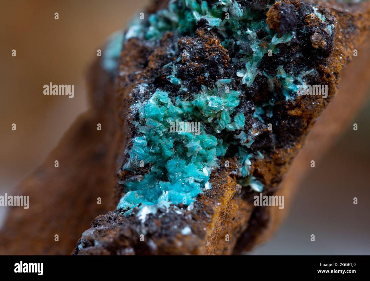 mineral specimen stone rock geology gem crystal Stock Photo - Alamy