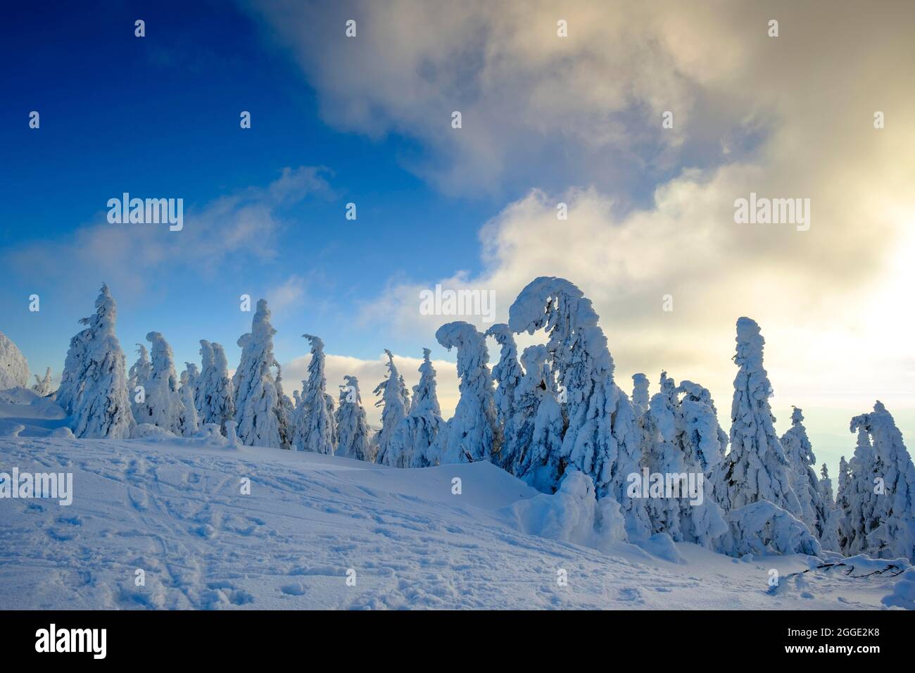 Bayerischer wald großer arber hi-res stock photography and images - Alamy