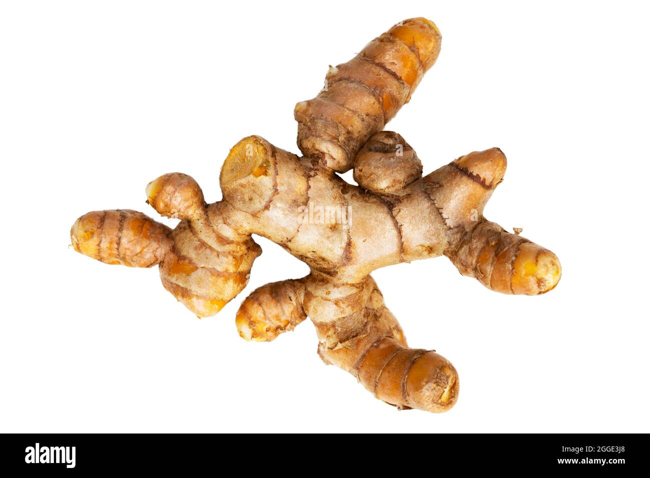 Close up of fresh turmeric (curcuma longa) roots isolated on white ...