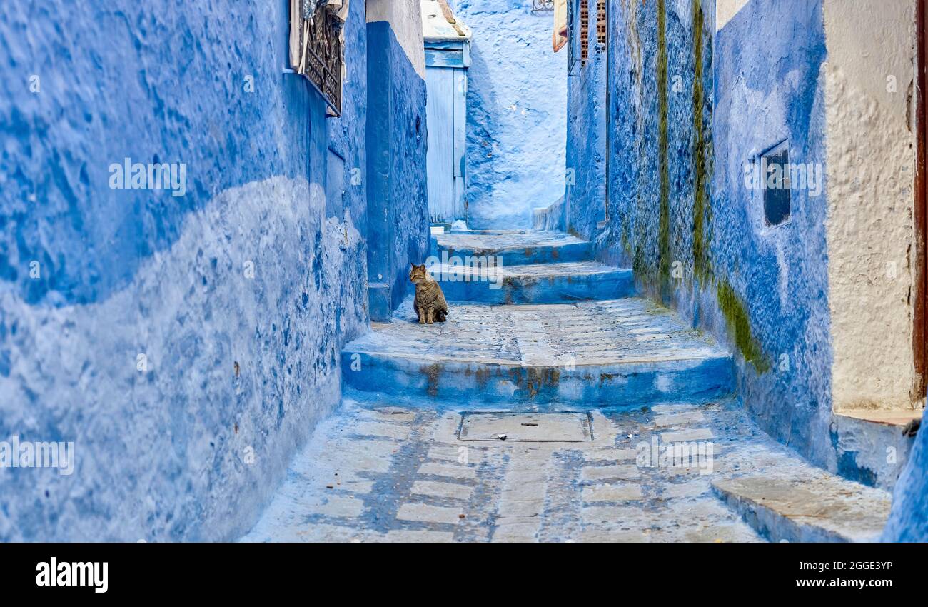 Streets and colored houses, View from the city street where all ...