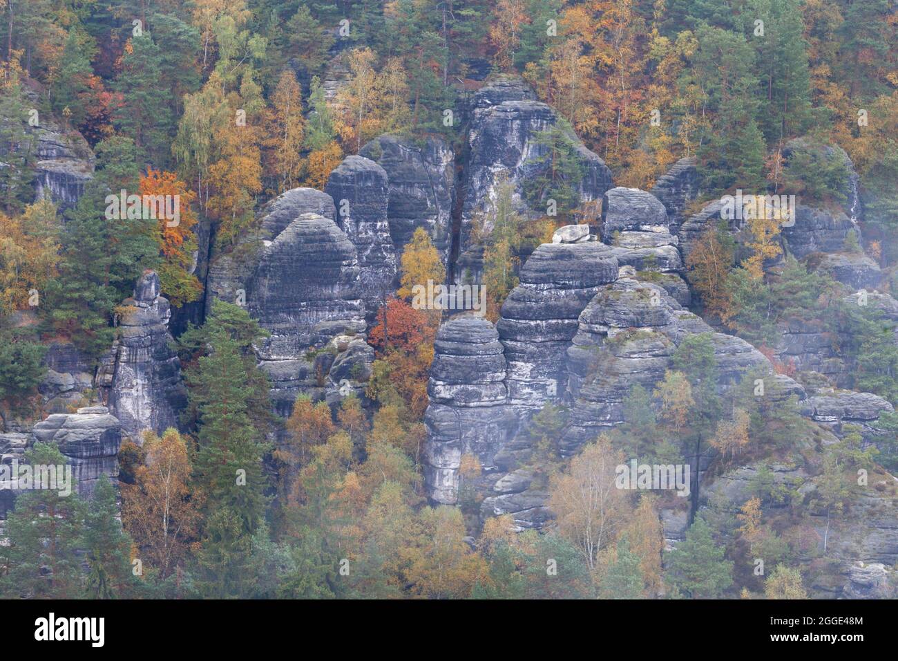Sandstone rocks in the Bastei area, Elbe Sandstone Mountains, Saxon ...