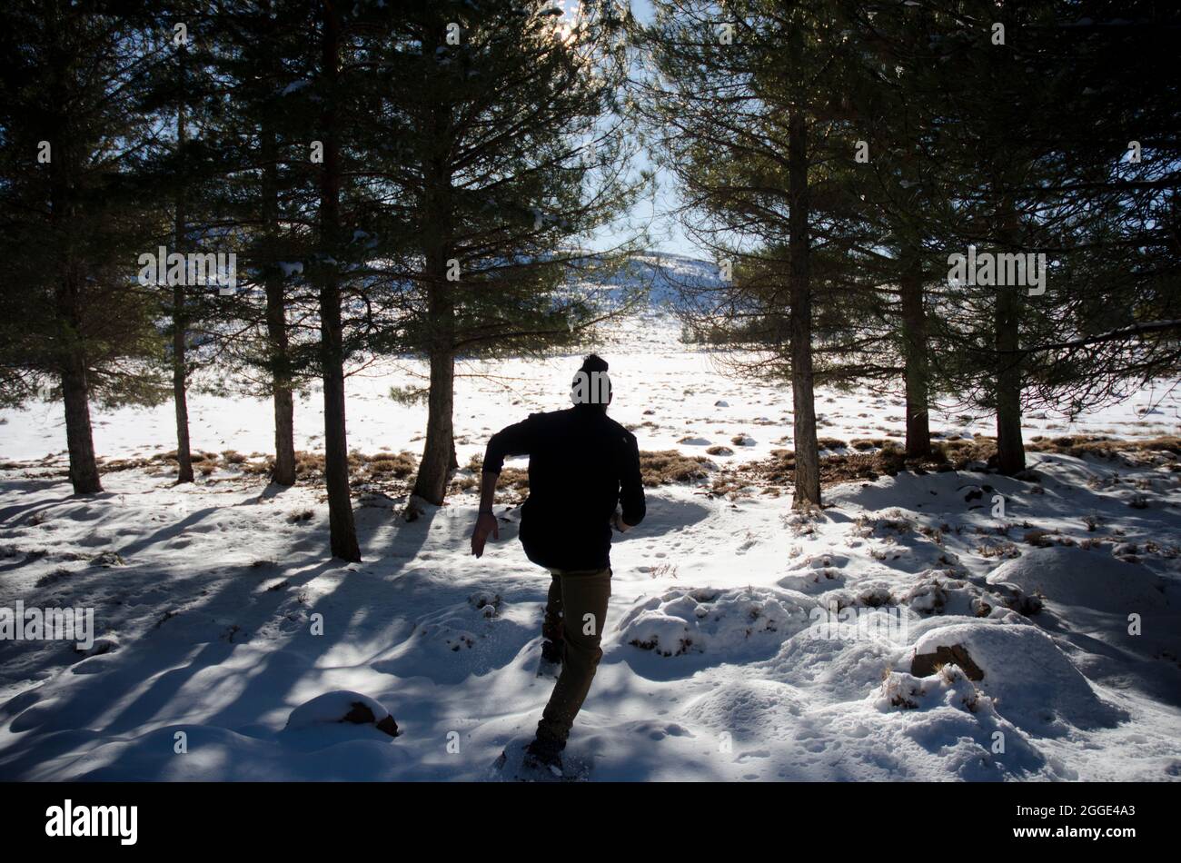 man running between the trees of a forest in a snowy place Stock Photo ...