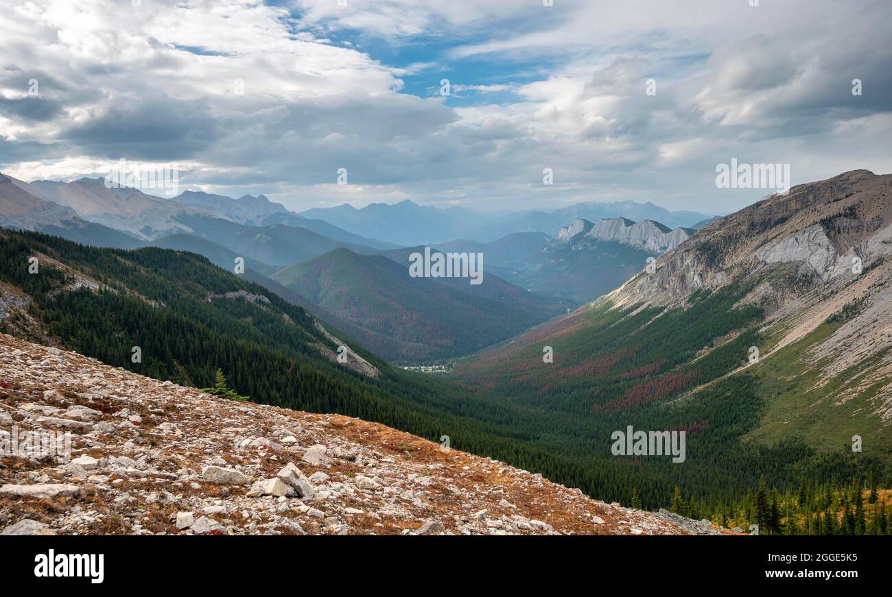 View into forested valley, mountain peak and Ashlar Ridge in the back ...