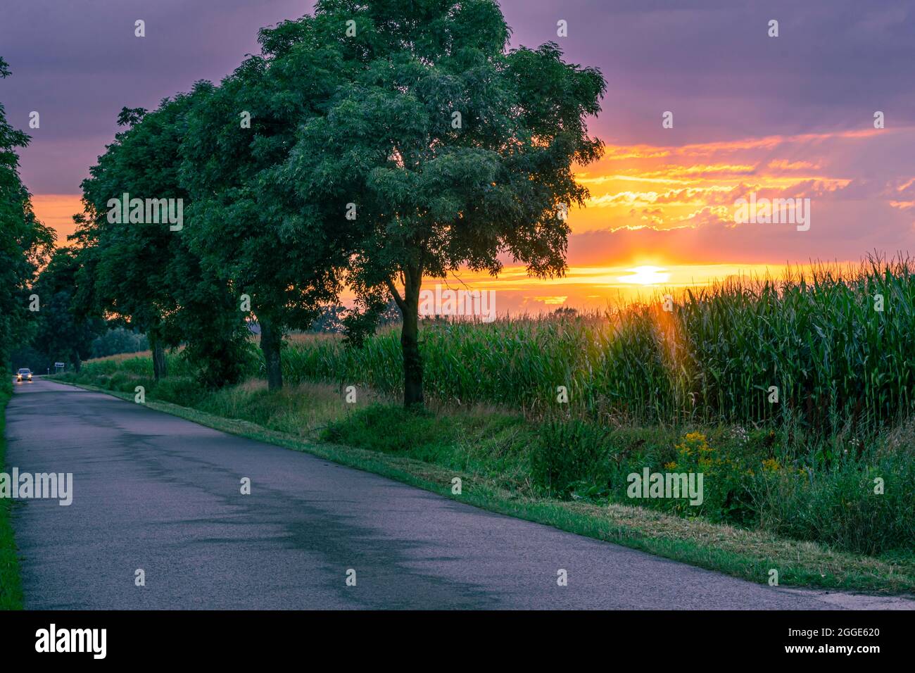 Country road with cornfield hi-res stock photography and images - Alamy