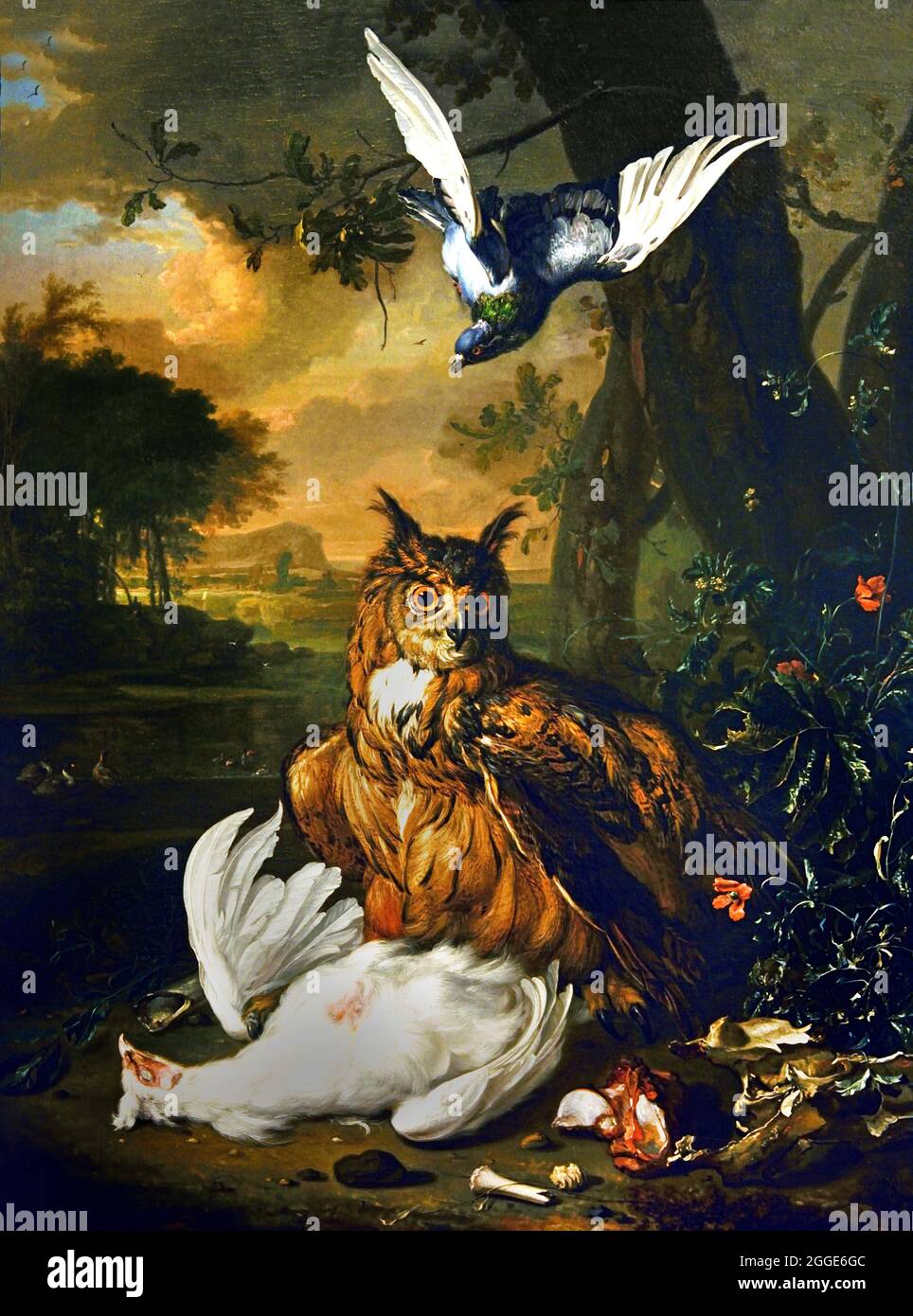 A Eurasian Eagle Owl ( Oehoe ) with other birds in a landscape 1690 ...