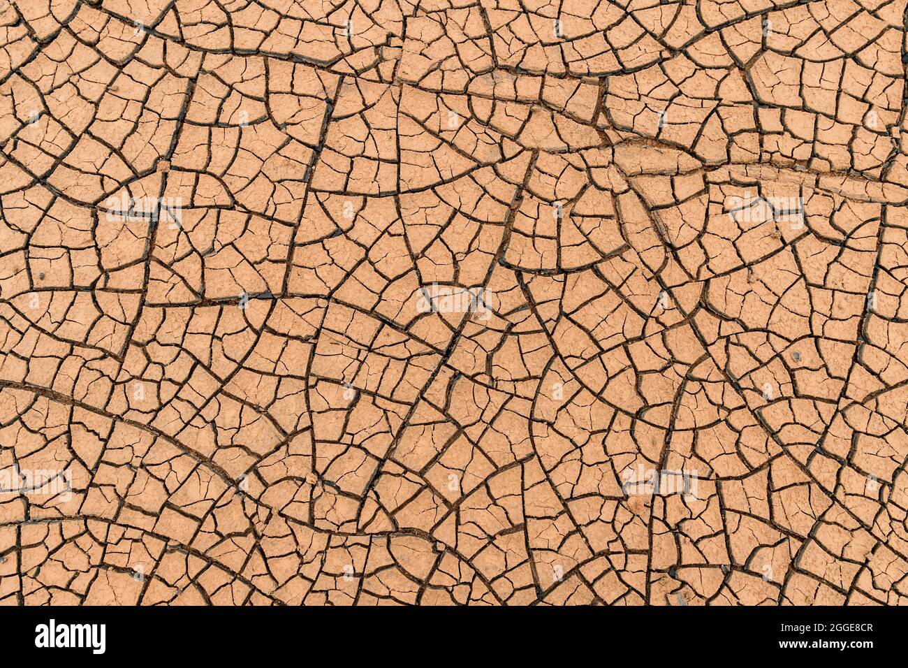 Cracks in the clay soil form mosaic-like structure, geothermal field ...