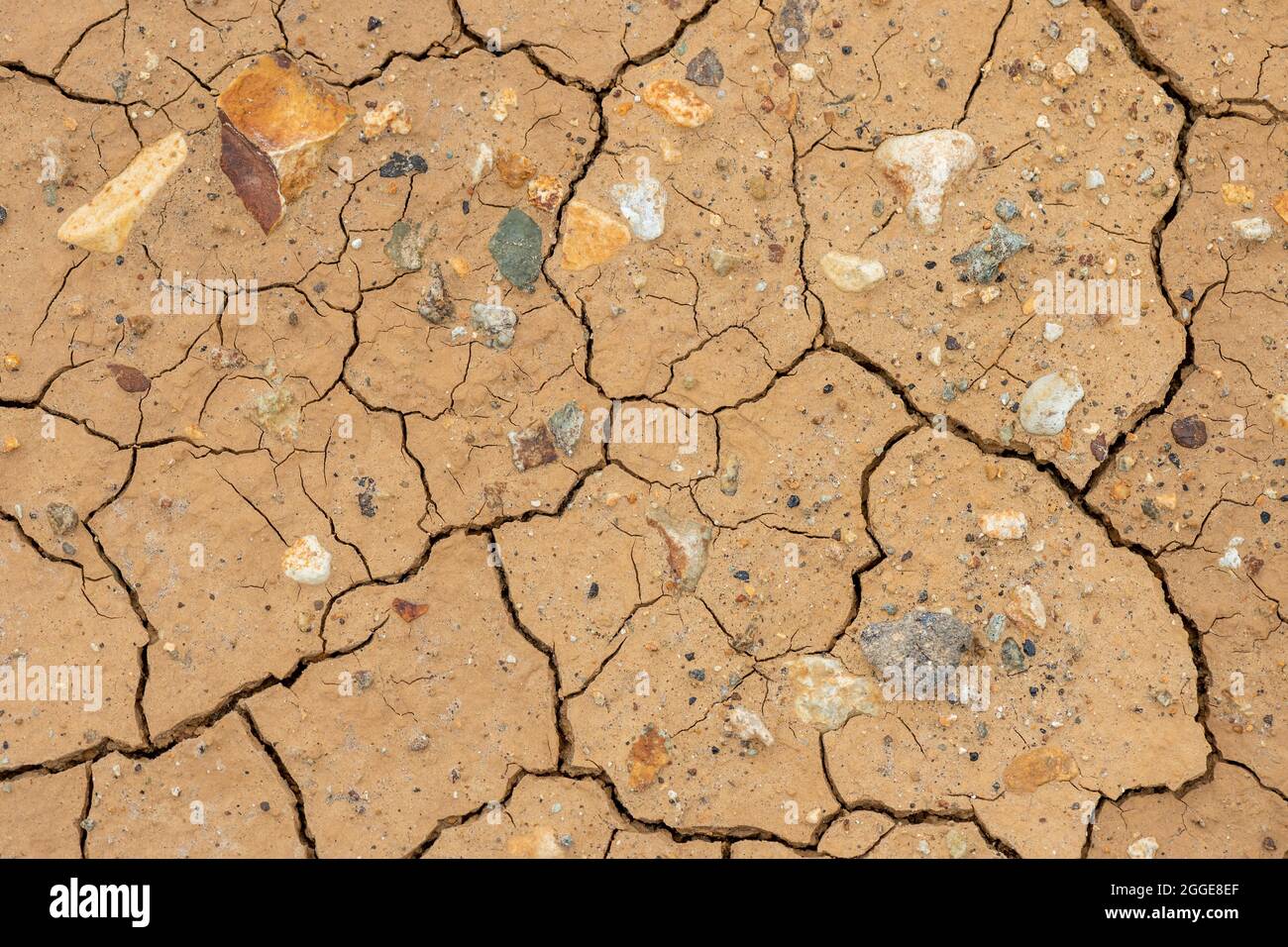 Black clay soil hi-res stock photography and images - Alamy