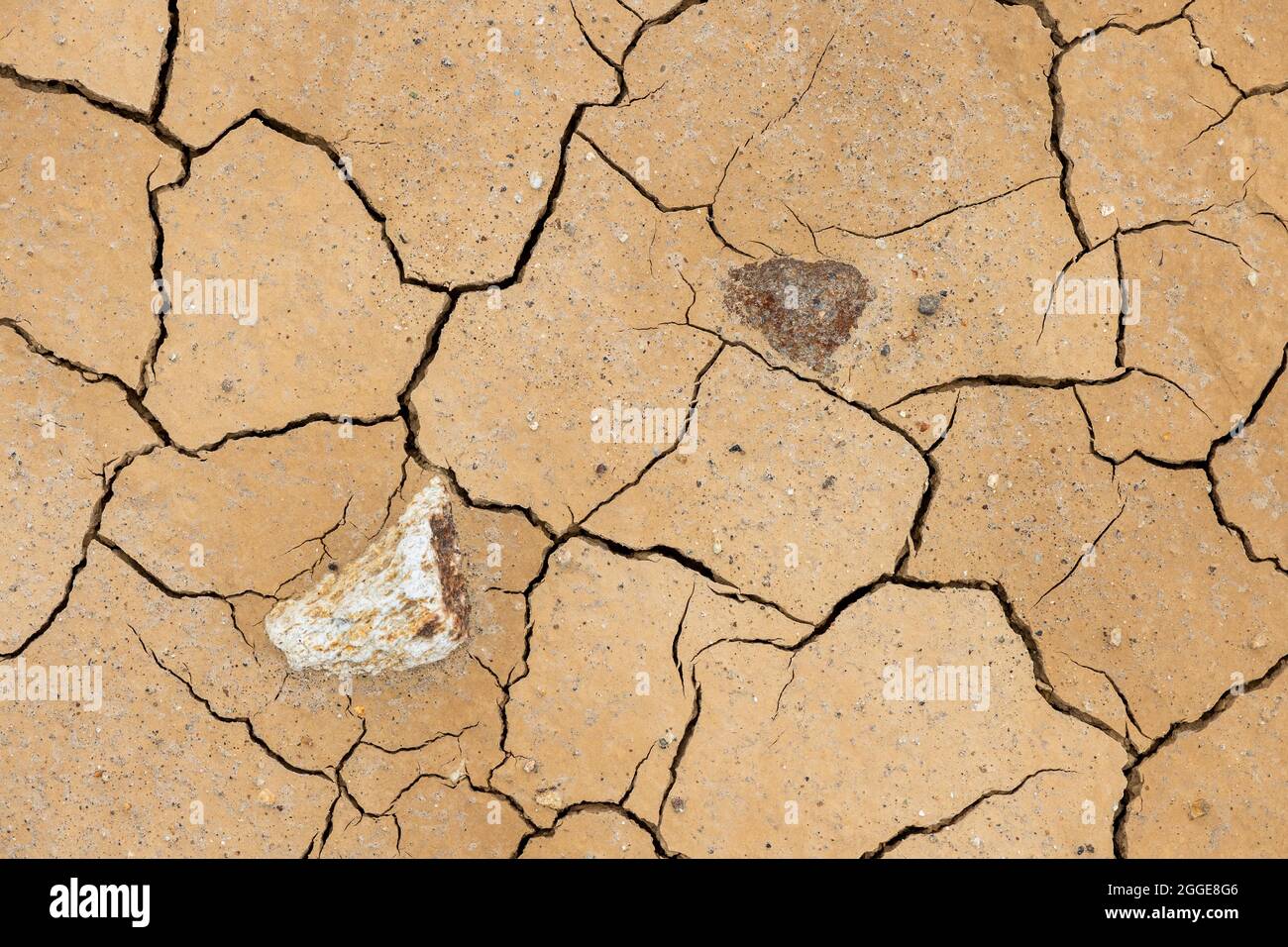 Black clay soil hi-res stock photography and images - Alamy