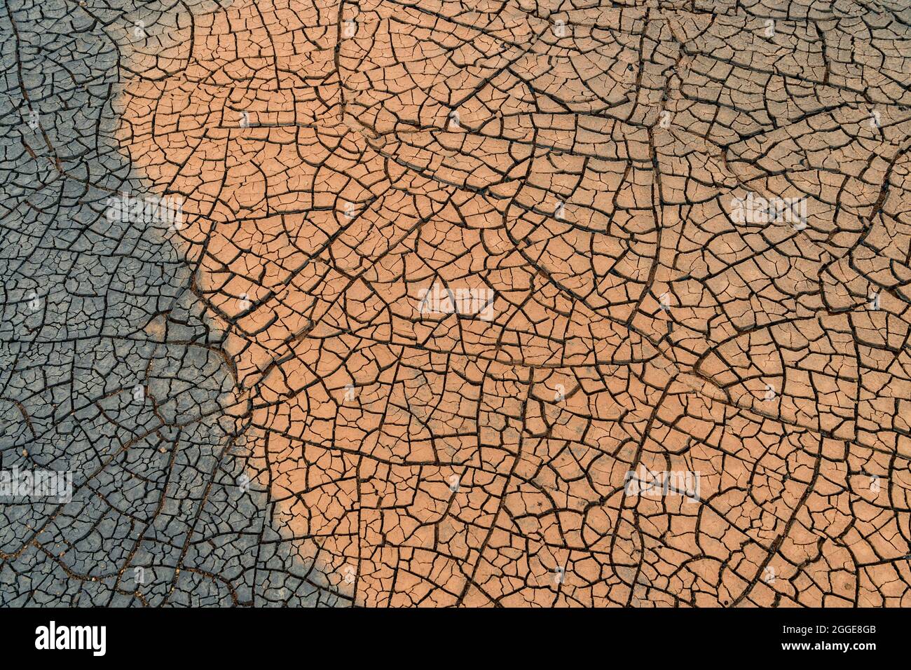 Cracks in the clay soil form mosaic-like structure, geothermal field ...