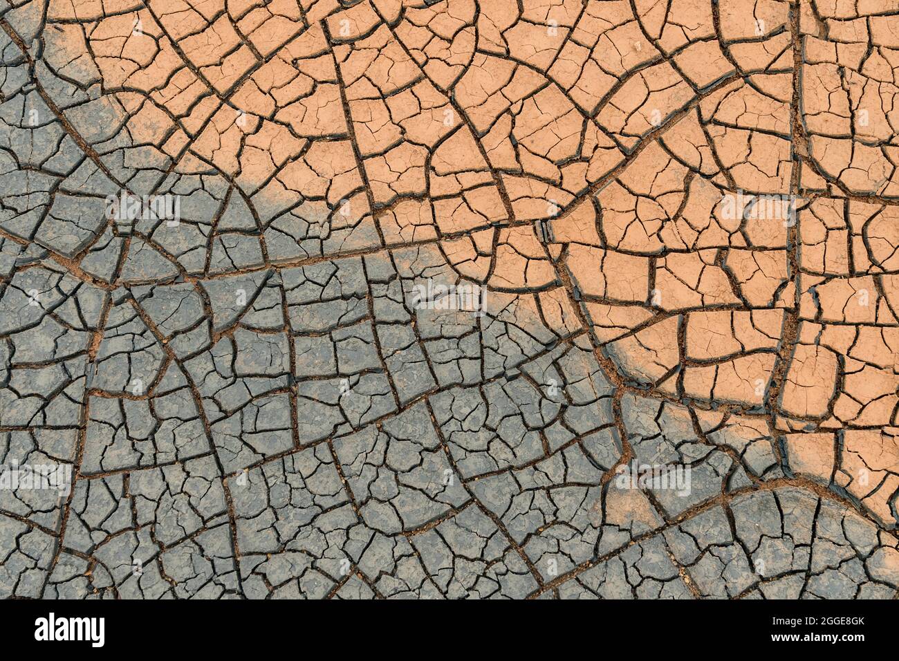 Cracks in the clay soil form mosaic-like structure, geothermal field ...
