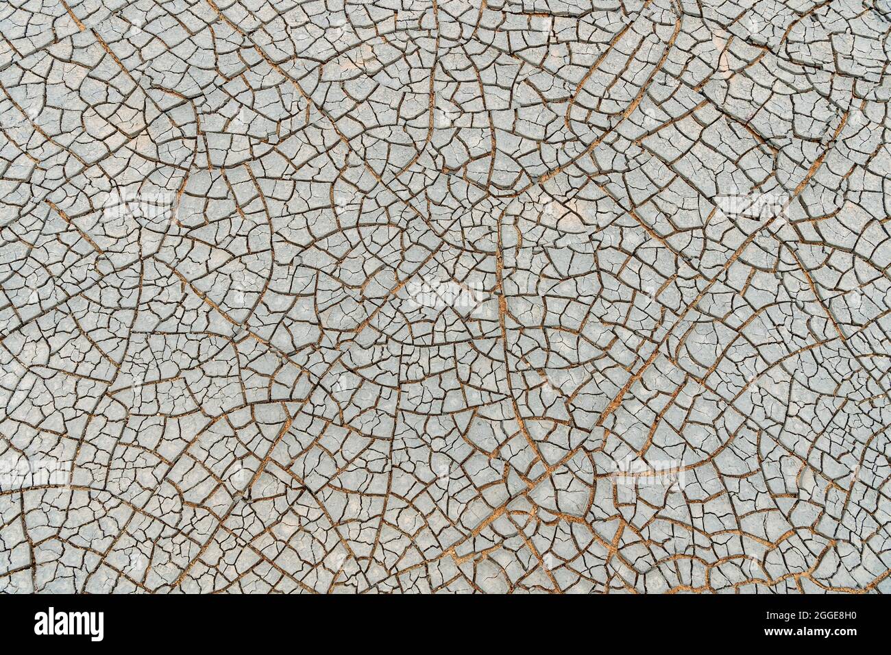 Cracks in the clay soil form mosaic-like structure, geothermal field ...