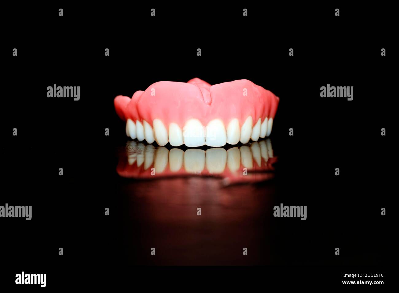 Full denture for the upper jaw made of plastic, studio shot in front of ...