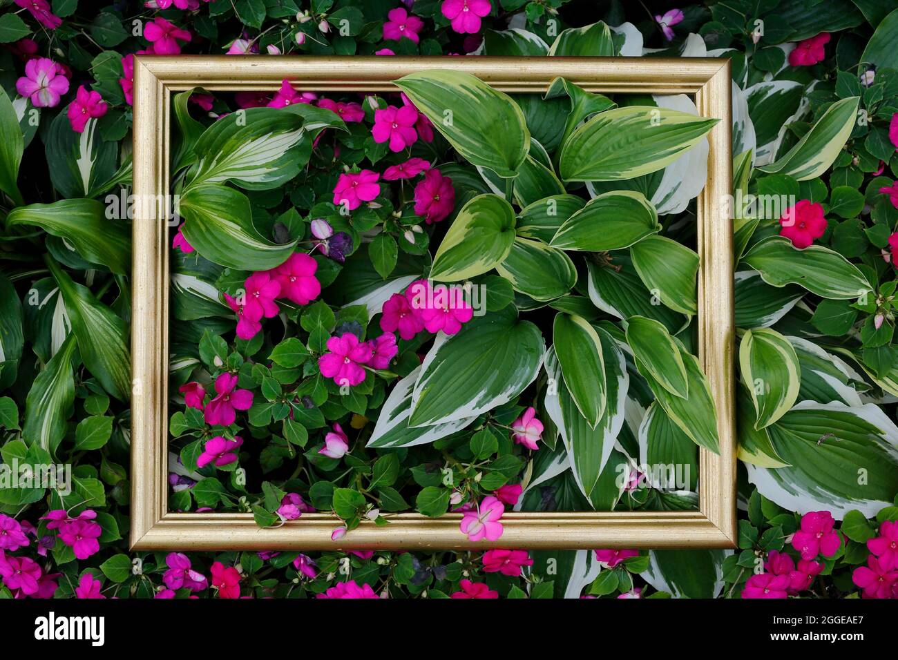 Golden Frame with flowering plants Stock Photo - Alamy