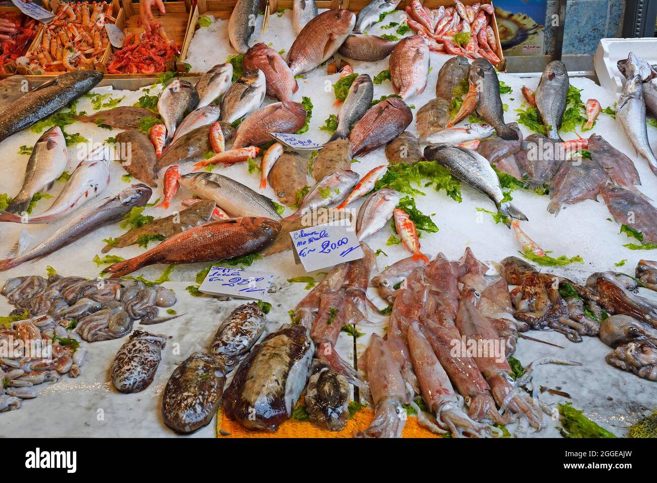 Large selection of fish and seafood, Mercato del Capo, Palermo, Sicily ...