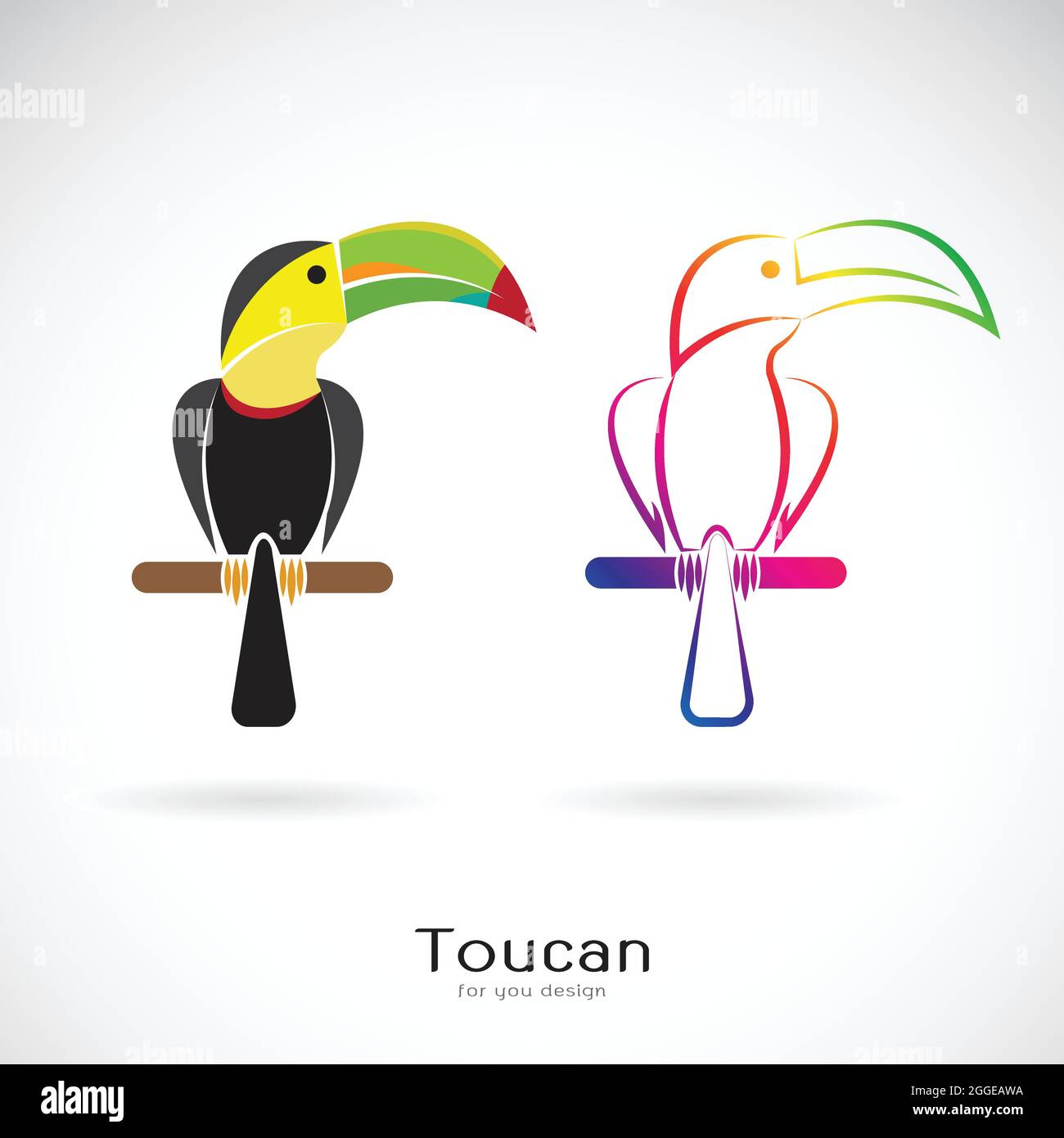 Vector of toucan bird design on white background. Wild Animals. Easy ...
