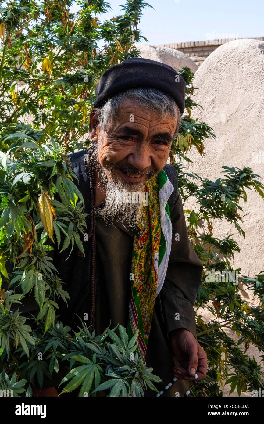 Drug friendly hi-res stock photography and images - Alamy