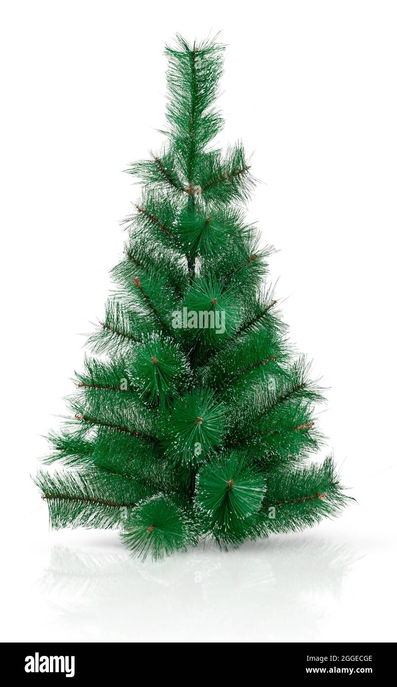 Undecorated christmas tree hi-res stock photography and images - Alamy