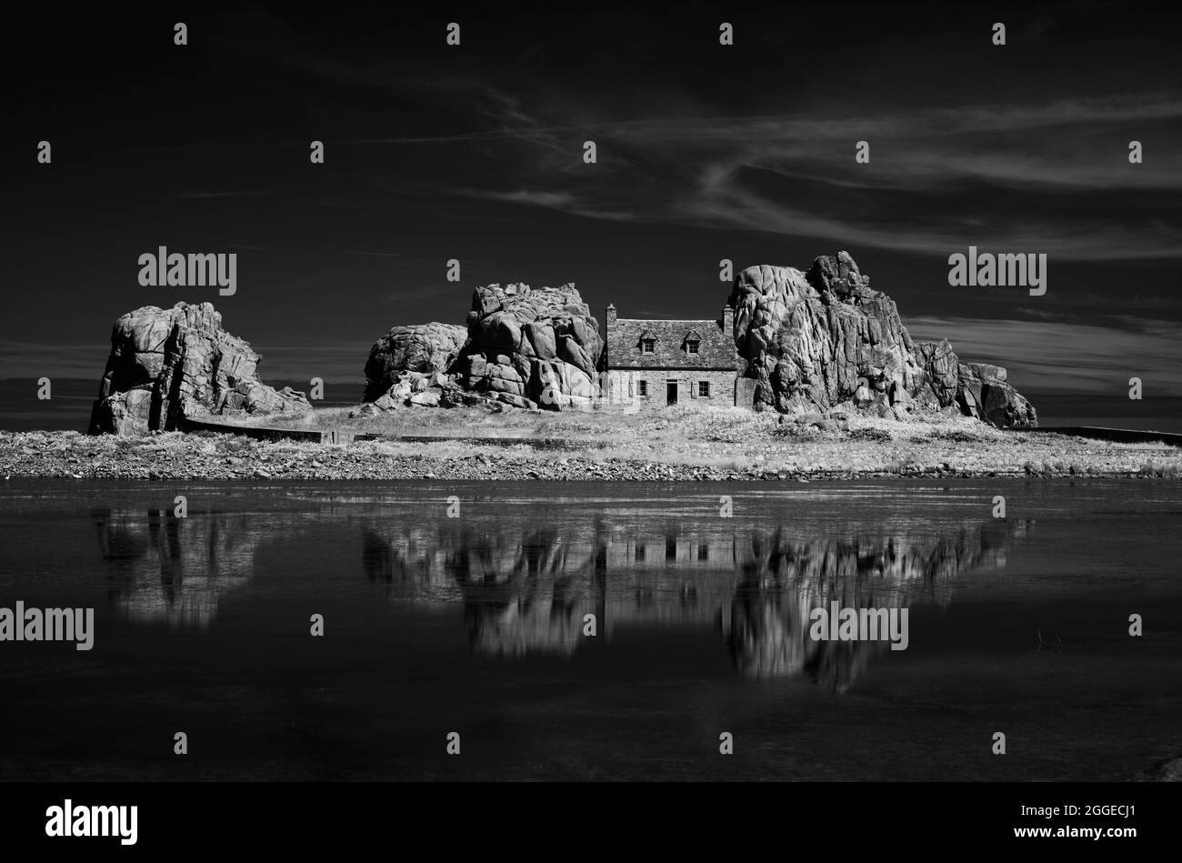 Infrared rose hi-res stock photography and images - Alamy