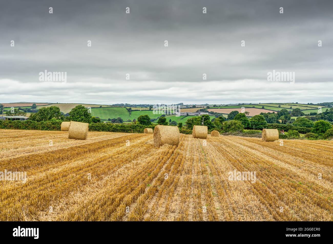 The leading lines produced by a combine harvester take your eyes to the ...