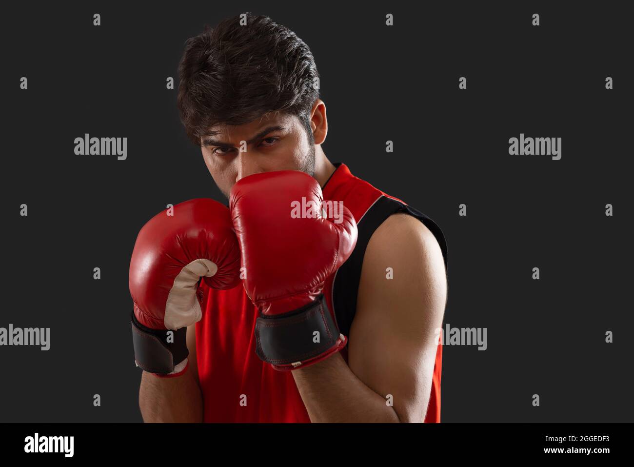 A DETERMINED BOXER STANDING READY TO FIGHT Stock Photo - Alamy