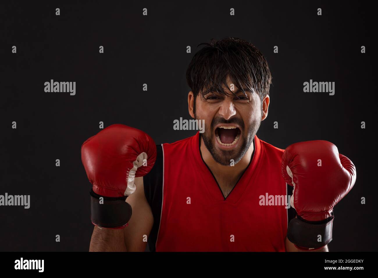 A CHEERFUL BOXER SCREAMING IN FRONT OF CAMERA Stock Photo - Alamy
