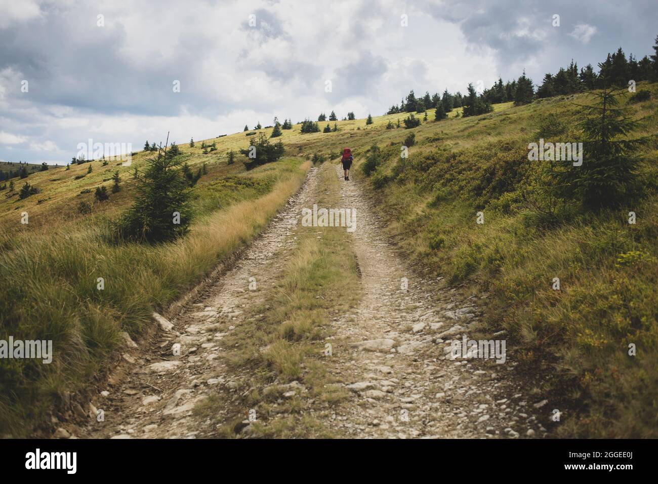 Ukrainian-Romanian border in the Carpathian mountains, Hiker overcomes ...
