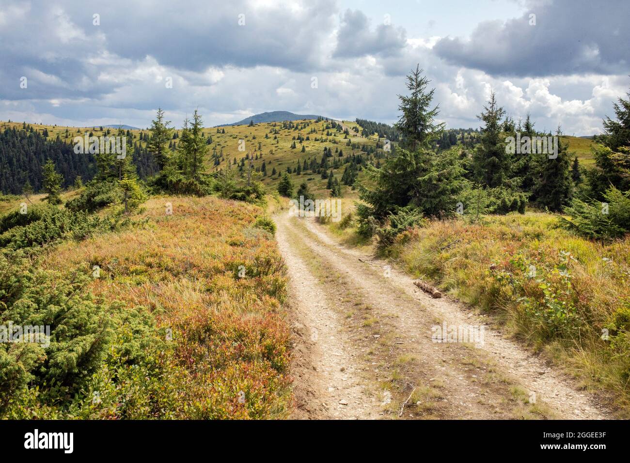 Ukrainian-Romanian border in the Carpathian mountains, Hiker overcomes ...