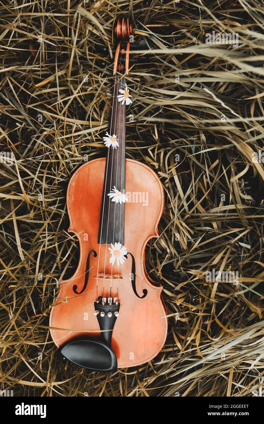 High quality violin hi-res stock photography and images - Alamy