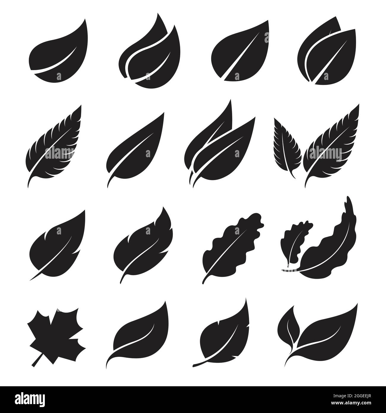 Vector leaves icon set on white background. Easy editable layered ...